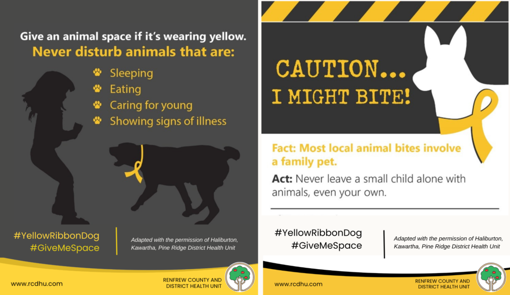 Yellow Ribbon Campaign – Animal Bite Awareness - Renfrew County and ...
