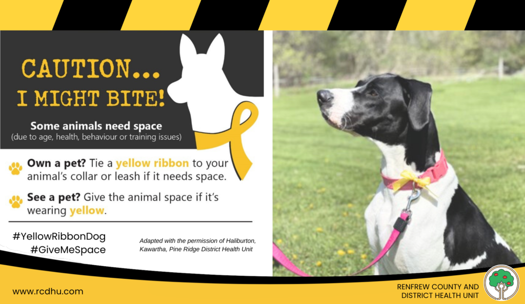 Yellow Ribbon Campaign – Animal Bite Awareness - Renfrew County and ...